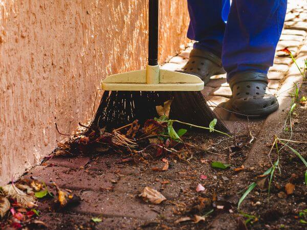 Dove buttare rami e foglie? - Raccolta del verde