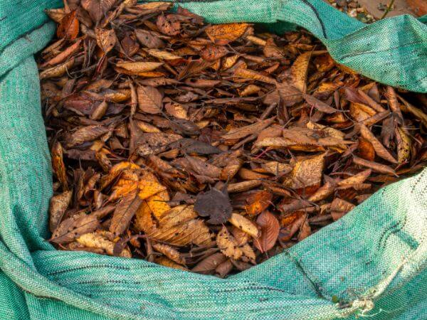 Dove buttare rami e foglie? - Raccolta del verde